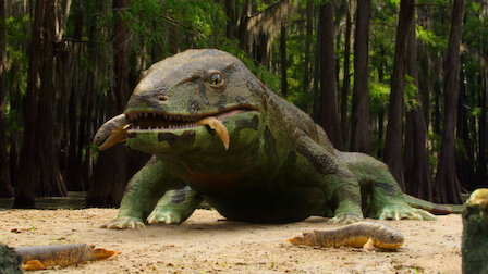 Watch Life on Our Planet | Netflix Official Site