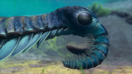 Watch Life on Our Planet | Netflix Official Site