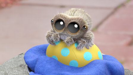 Watch Lucas the Spider | Netflix