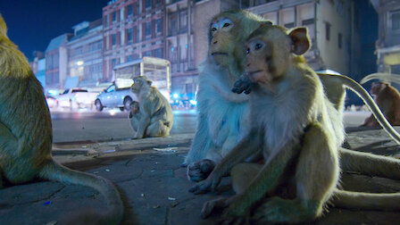 Night on Earth | Netflix Official Site
