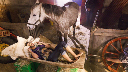 Watch Flinch | Netflix Official Site