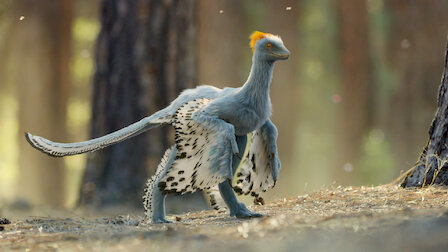 Watch Life on Our Planet | Netflix Official Site