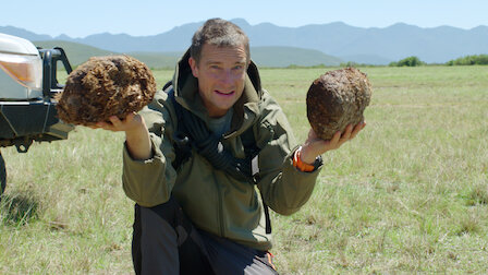 Watch Animals on the Loose: A You vs. Wild Movie | Netflix Official Site