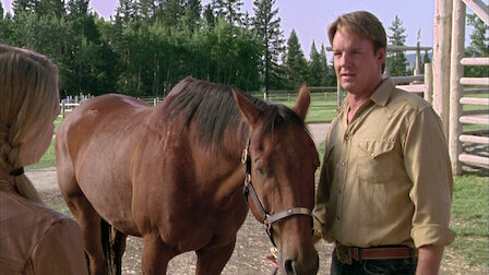 Watch Heartland | Netflix