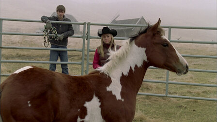 Watch Heartland | Netflix