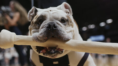 Watch Dogs | Netflix Official Site