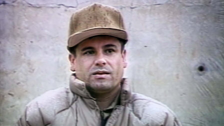 Chefes do Tráfico | Site Oficial Netflix