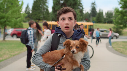 Dude, o Cãopanheiro | Site Oficial Netflix