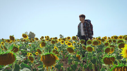 Watch The Third Charm | Netflix