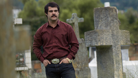 Watch El Chapo | Netflix Official Site