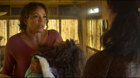 Watch Rattlesnake | Netflix Official Site