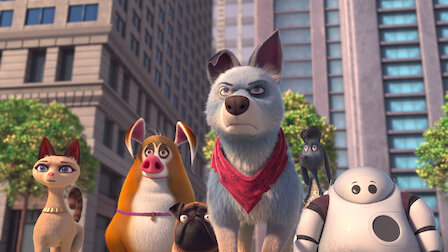 Pets United | Netflix Official Site