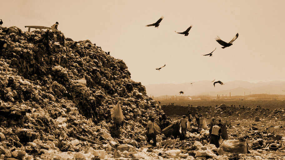 Watch Waste Land | Netflix