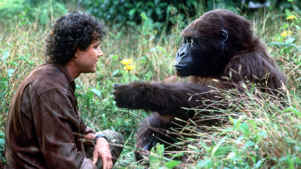 Watch Congo | Netflix