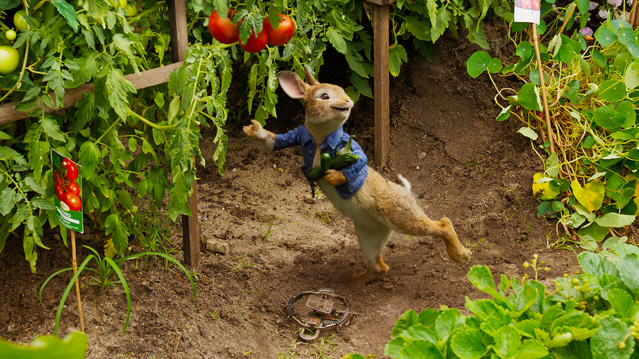 Watch Peter Rabbit | Netflix
