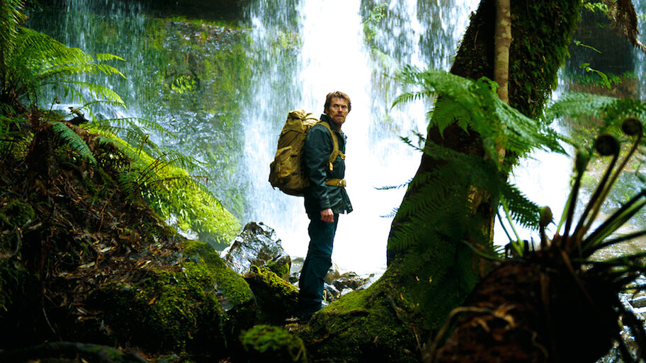 Watch The Hunter | Netflix