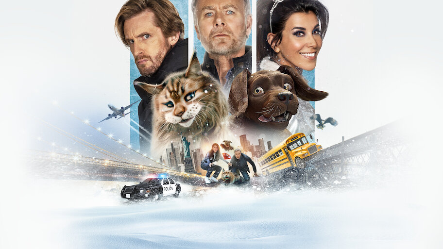 Watch Cat & Dog | Netflix