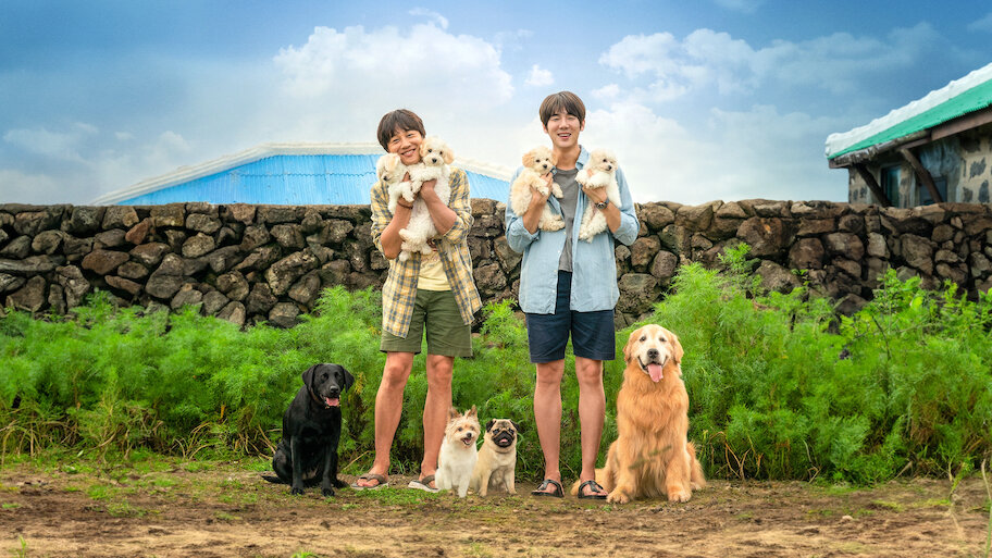 Watch My Heart Puppy | Netflix