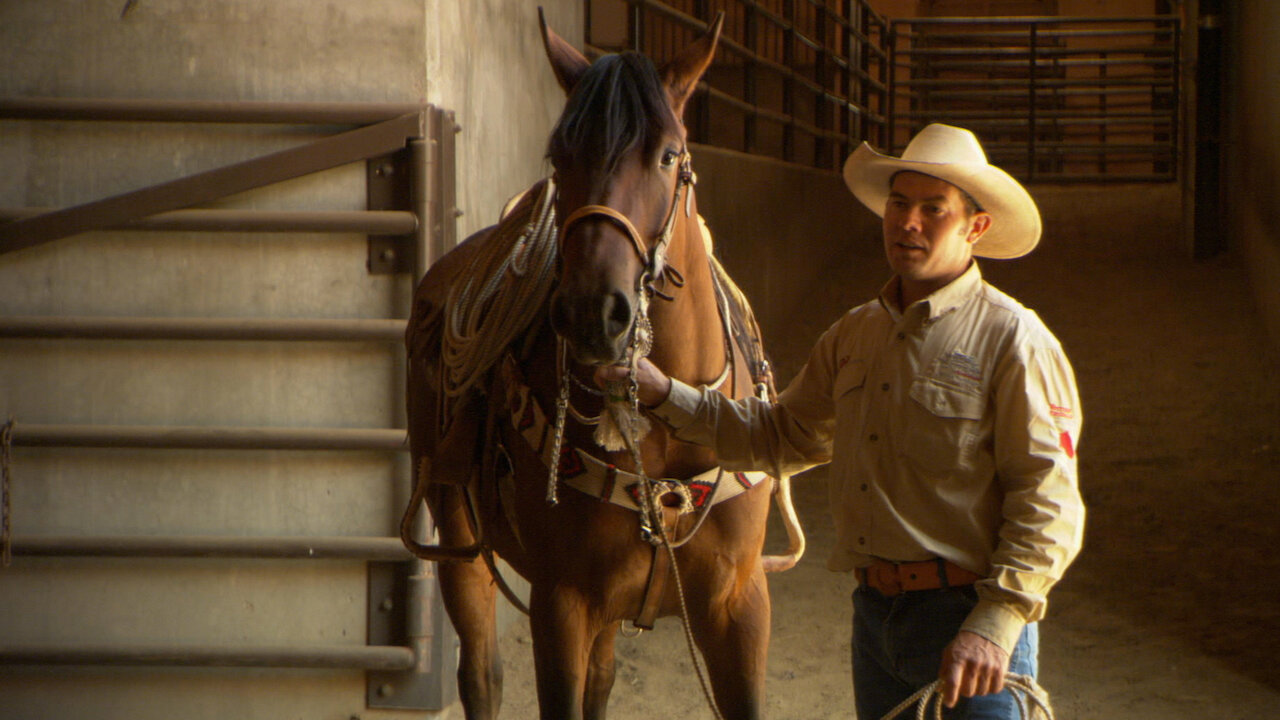 Ve Wild Horse Wild Ride | Netflix