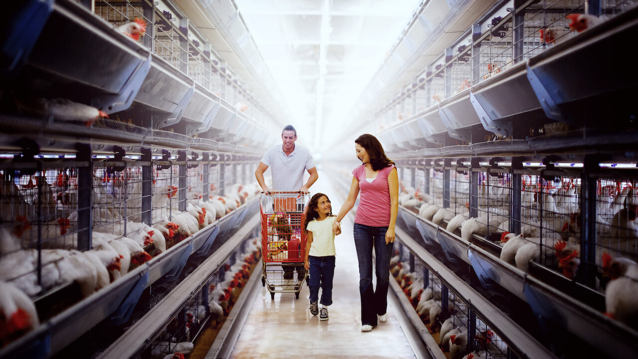 Watch Poisoned: The Dirty Truth About Your Food | Netflix Official Site