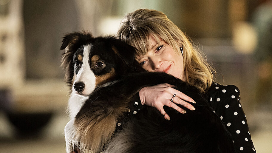 Watch Show Dogs | Netflix