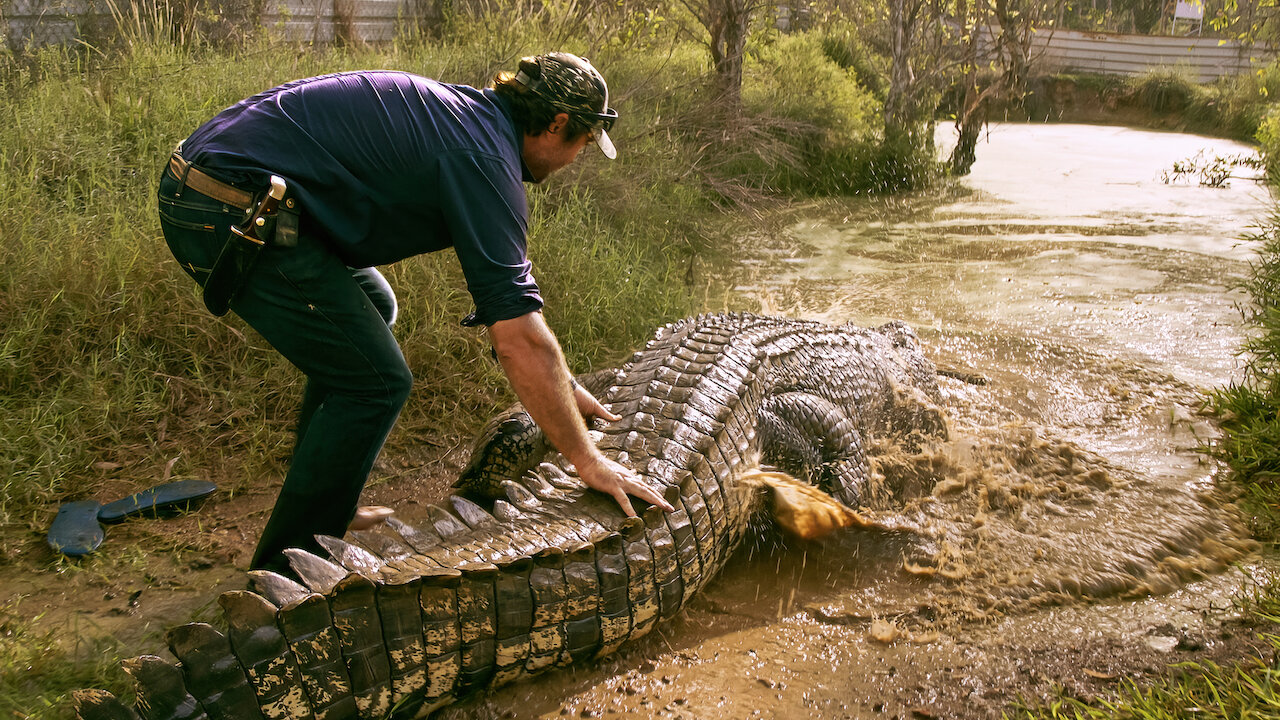 Watch Wild Croc Territory | Netflix Official Site