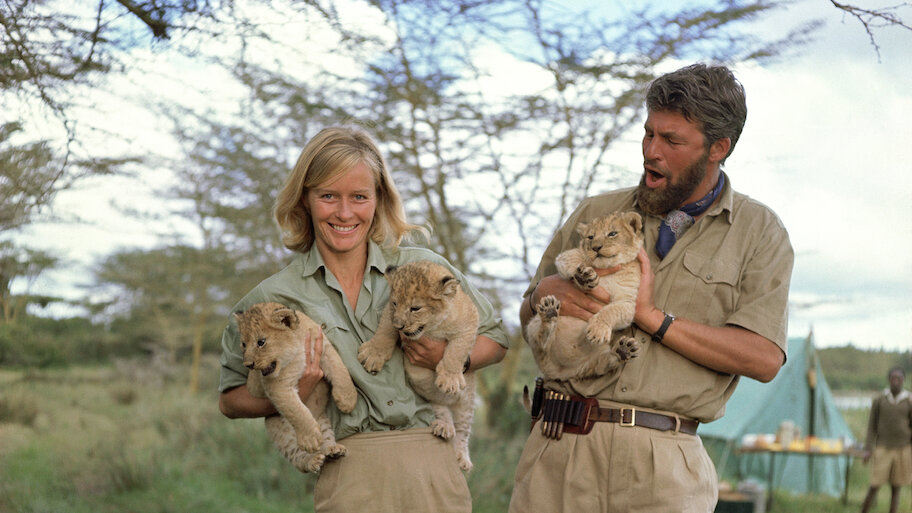 Watch Born Free | Netflix