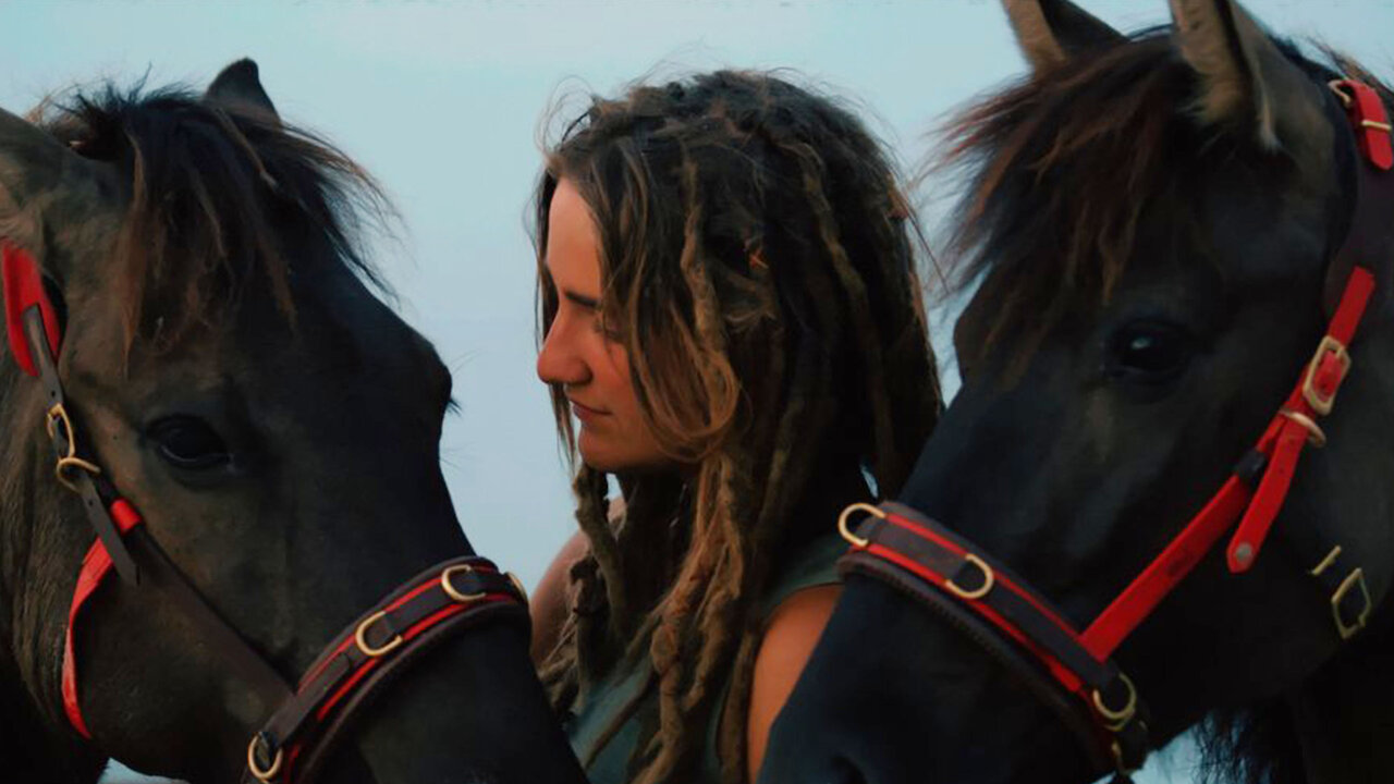 Watch Magic Of The Wild Horses | Netflix