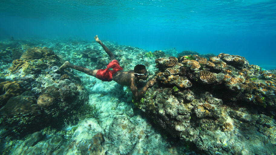 Watch The Last Ocean: Pacific | Netflix