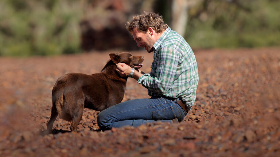 Watch Red Dog | Netflix