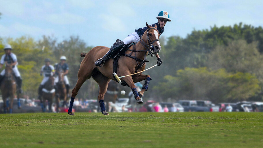 Watch Polo | Netflix Official Site