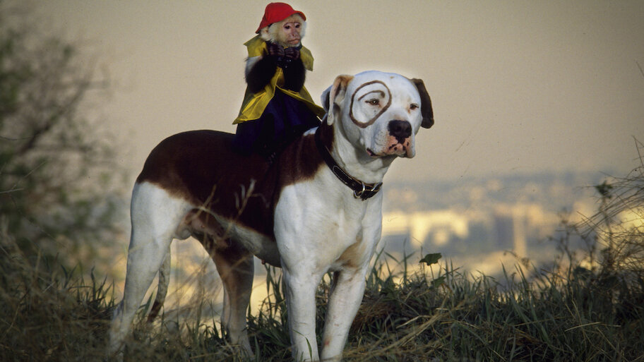 Watch The Little Rascals | Netflix