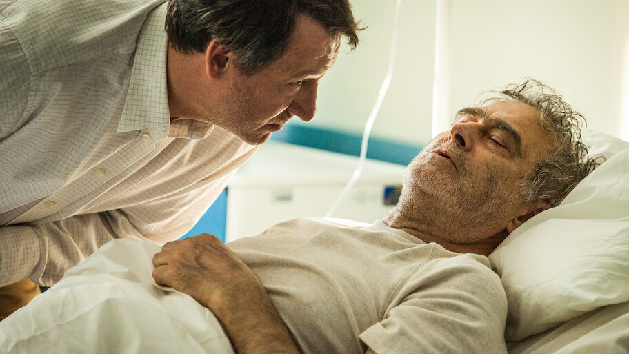 Watch Like Cats and Dogs | Netflix