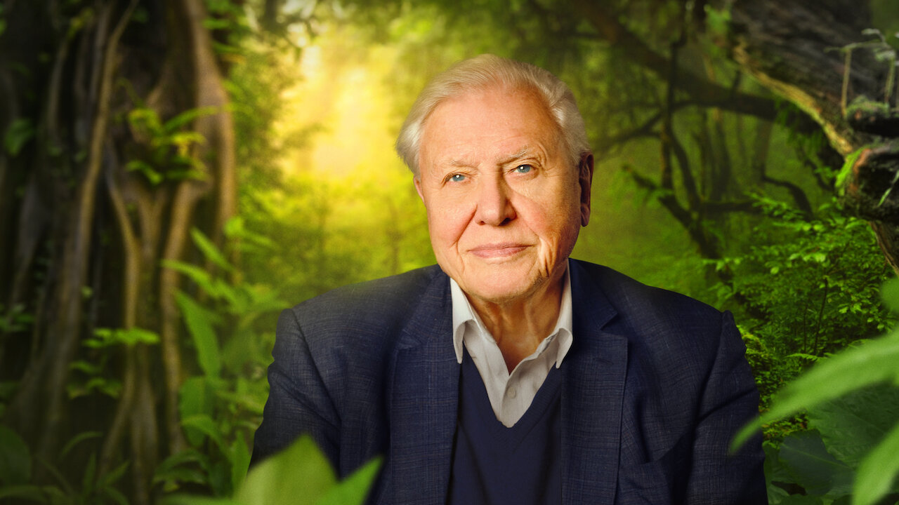 Watch David Attenborough A Life On Our Planet Netflix Official Site