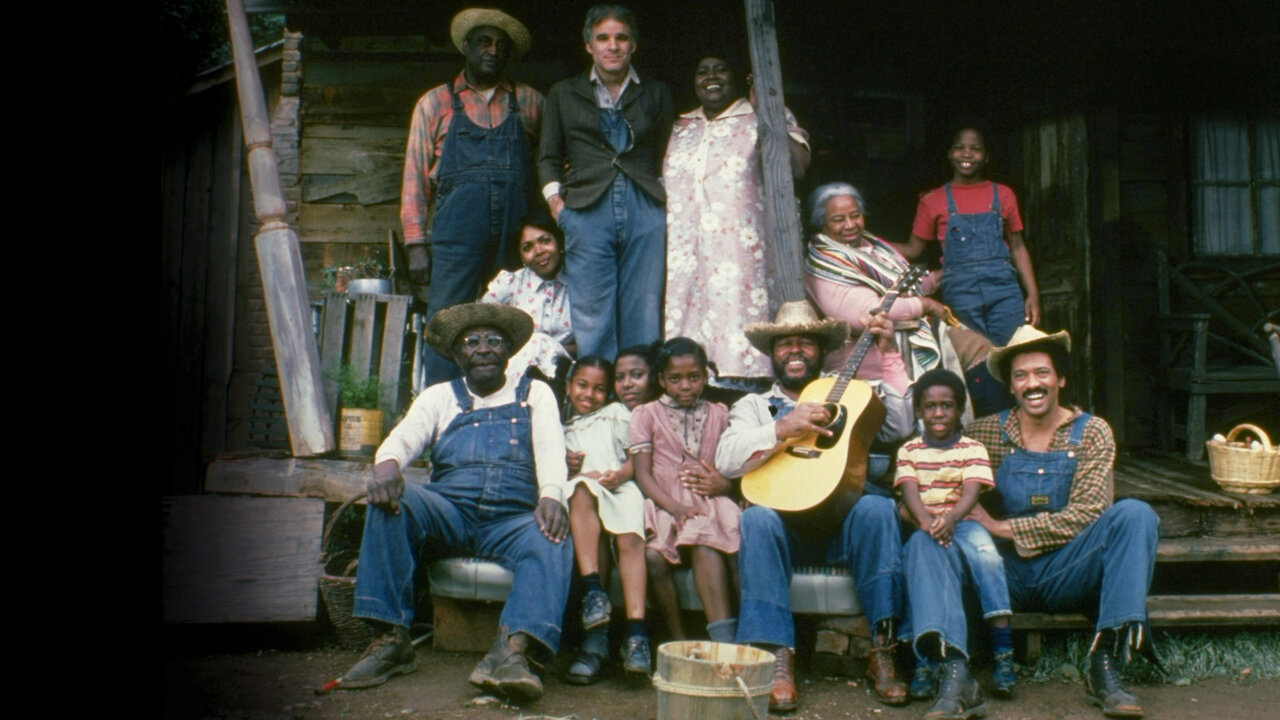 Watch The Jerk | Netflix