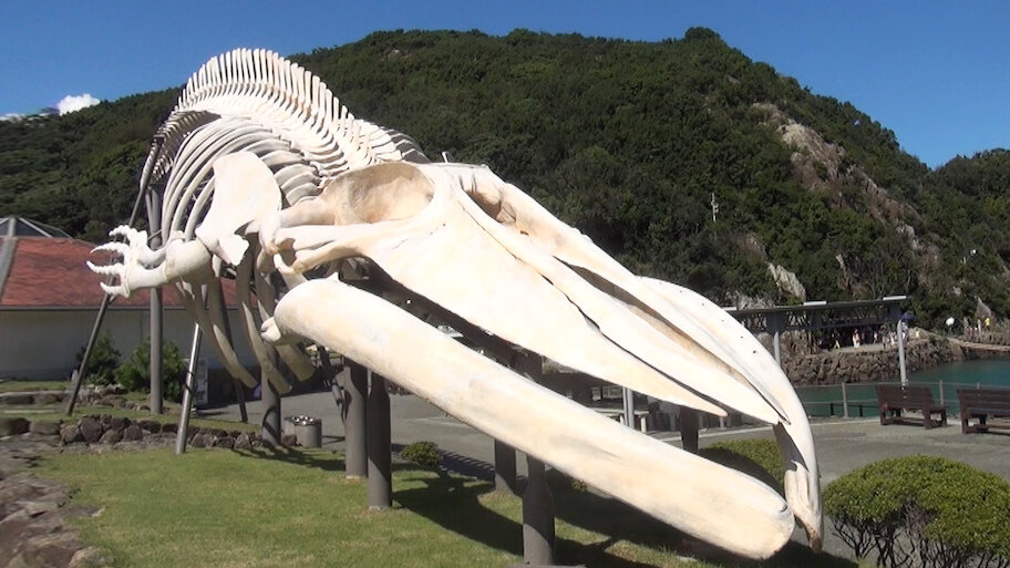 Watch Behind "The Cove": The Quiet Japanese Speak Out | Netflix