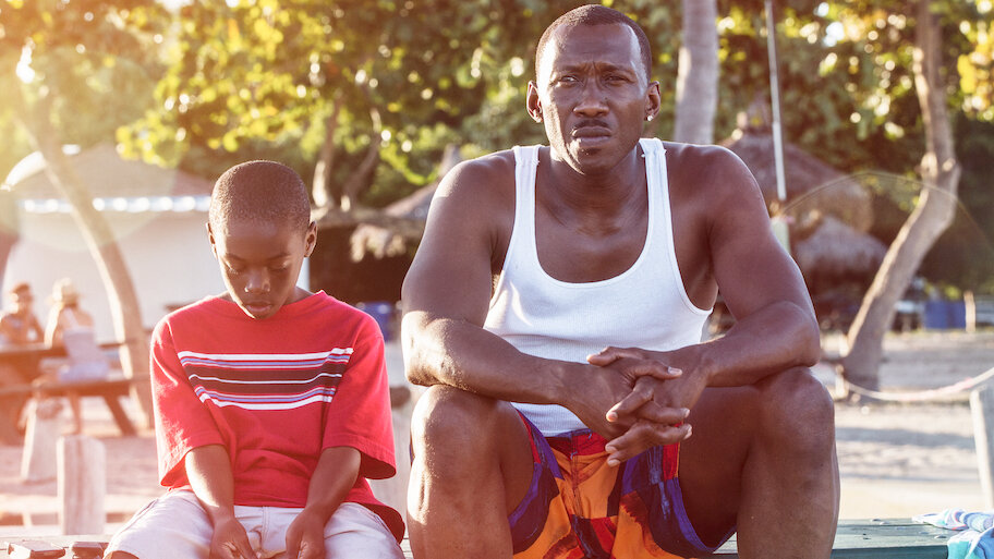 Watch Moonlight | Netflix