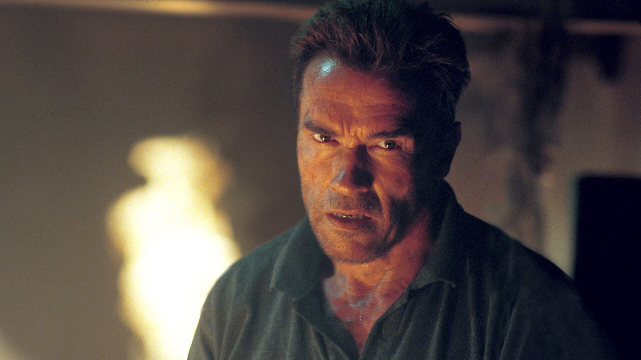 Watch Collateral Damage | Netflix