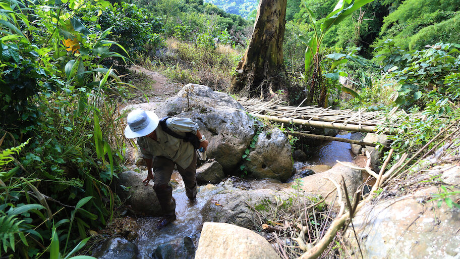 Watch NOVA: Thai Cave Rescue | Netflix