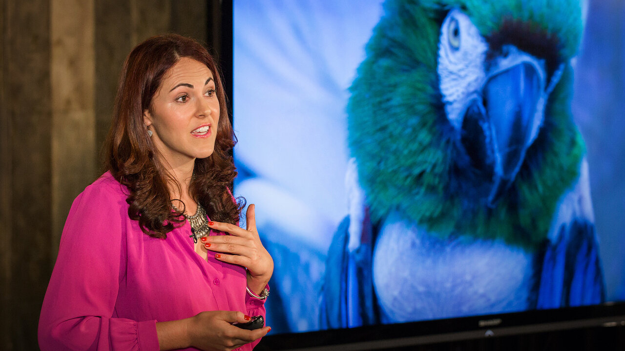 Watch TEDTalks: Animal Voices | Netflix