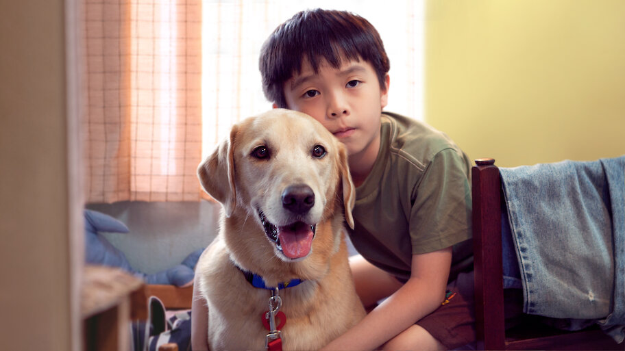 Watch My Dog Dou Dou | Netflix