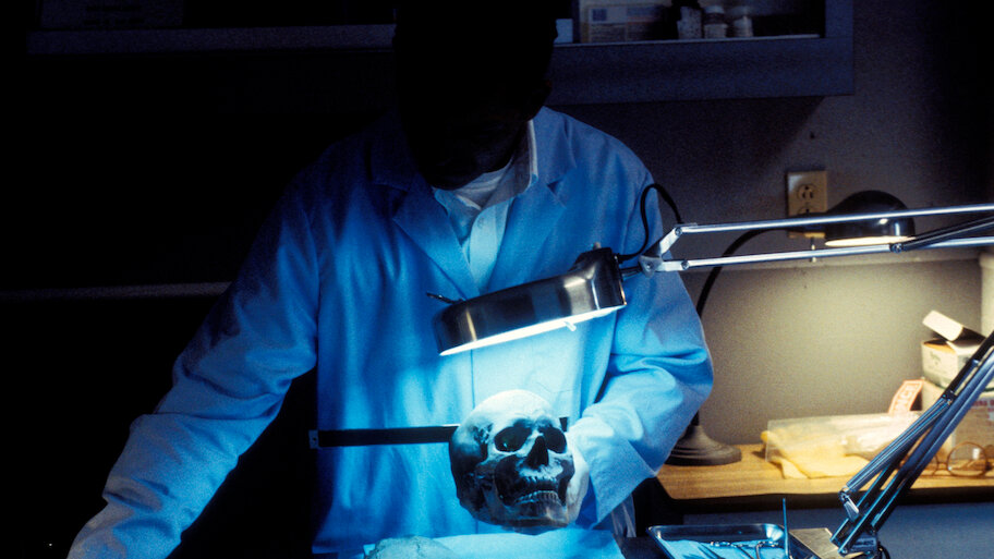 Watch The New Detectives: Case Studies in Forensic Science | Netflix