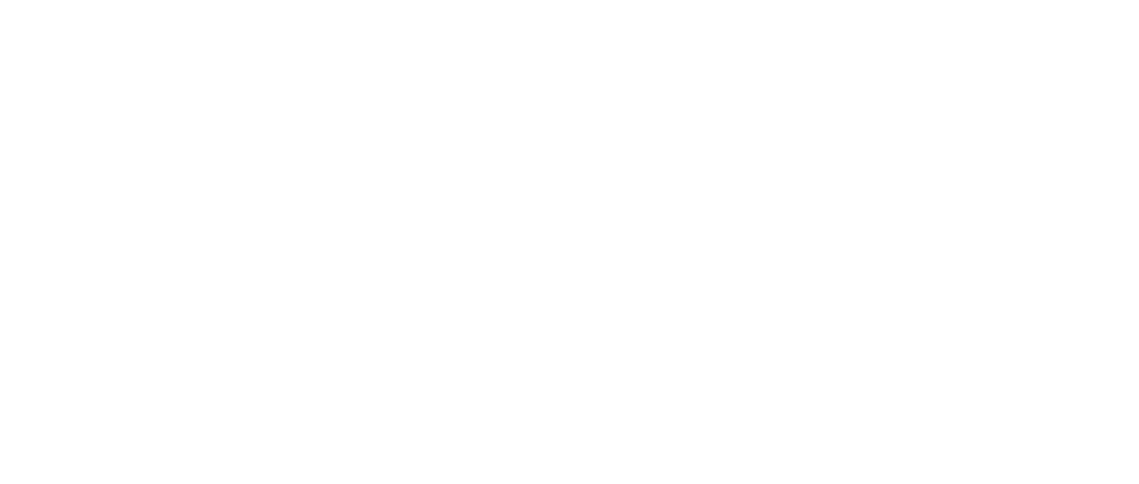 Watch The Bridge | Netflix