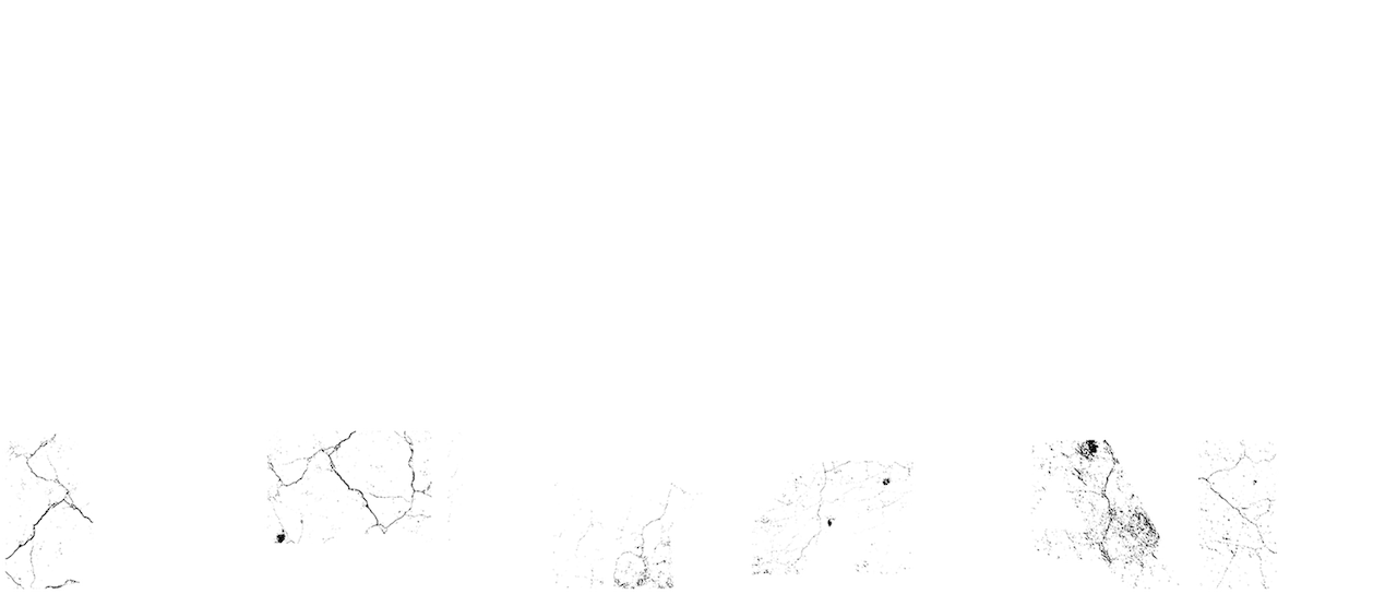 Watch Primal | Netflix