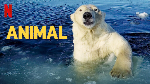 Watch Breaking Boundaries: The Science Of Our Planet | Netflix Official ...