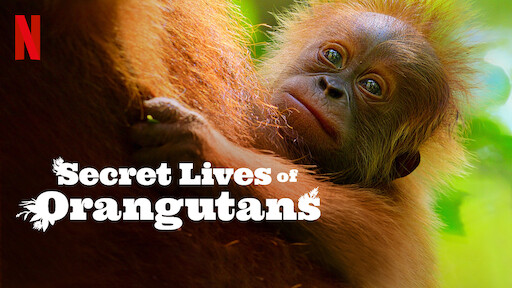 Watch Apollo 13: Survival | Netflix Official Site