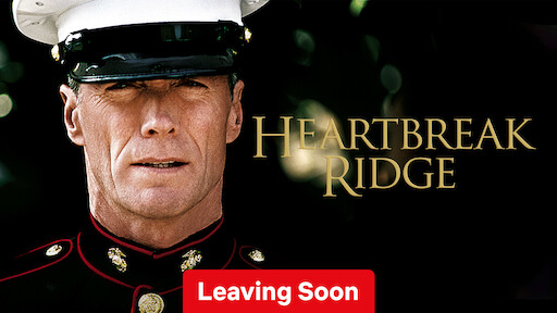 Watch The Rookie | Netflix