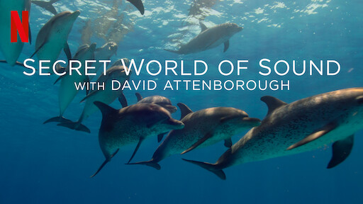 Watch David Attenborough: A Life on Our Planet | Netflix Official Site