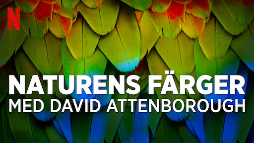 Breaking Boundaries: The Science Of Our Planet | Netflix officiella ...