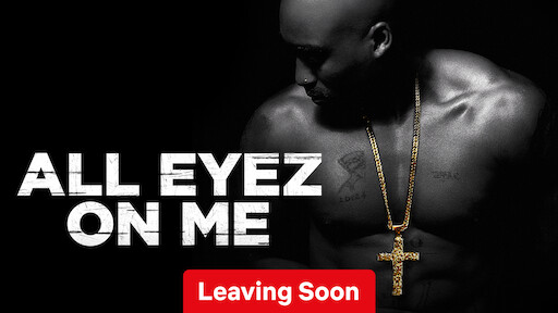 Watch The Whale | Netflix